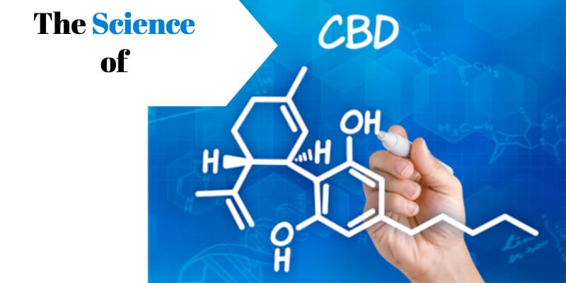 The Science Behind CBD Oil - Receptra